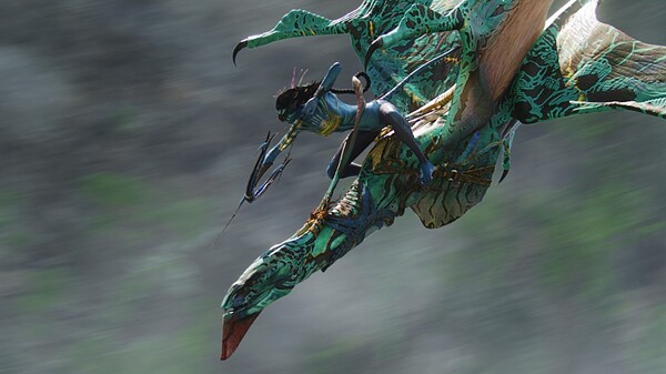 13년 만에 또 한번 '나비앓이'?...아바타 속편 '아바타: 물의 길'